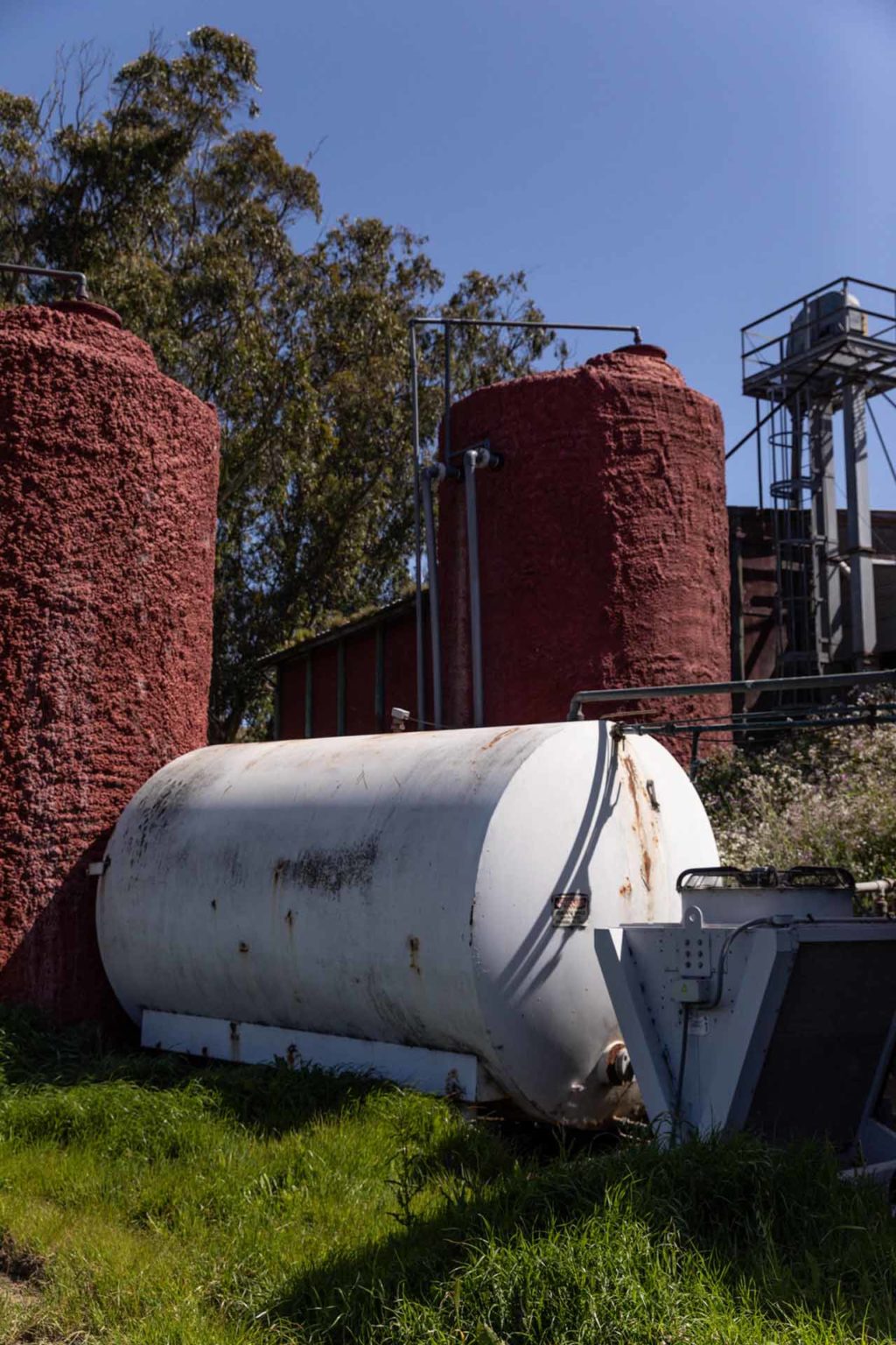Reducing Cow Methane Emissions - Straus Family Creamery
