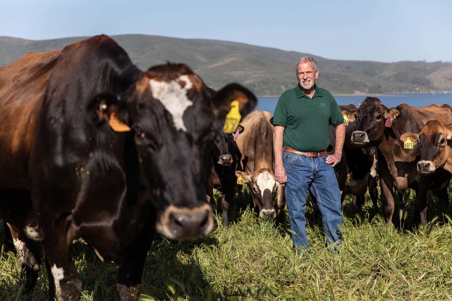 About Us - Straus Family Creamery