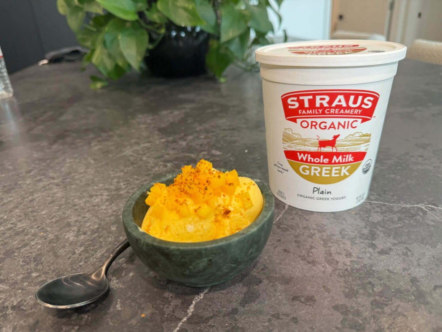 Mango Cart Frozen Yogurt Recipe - Straus Family Creamery